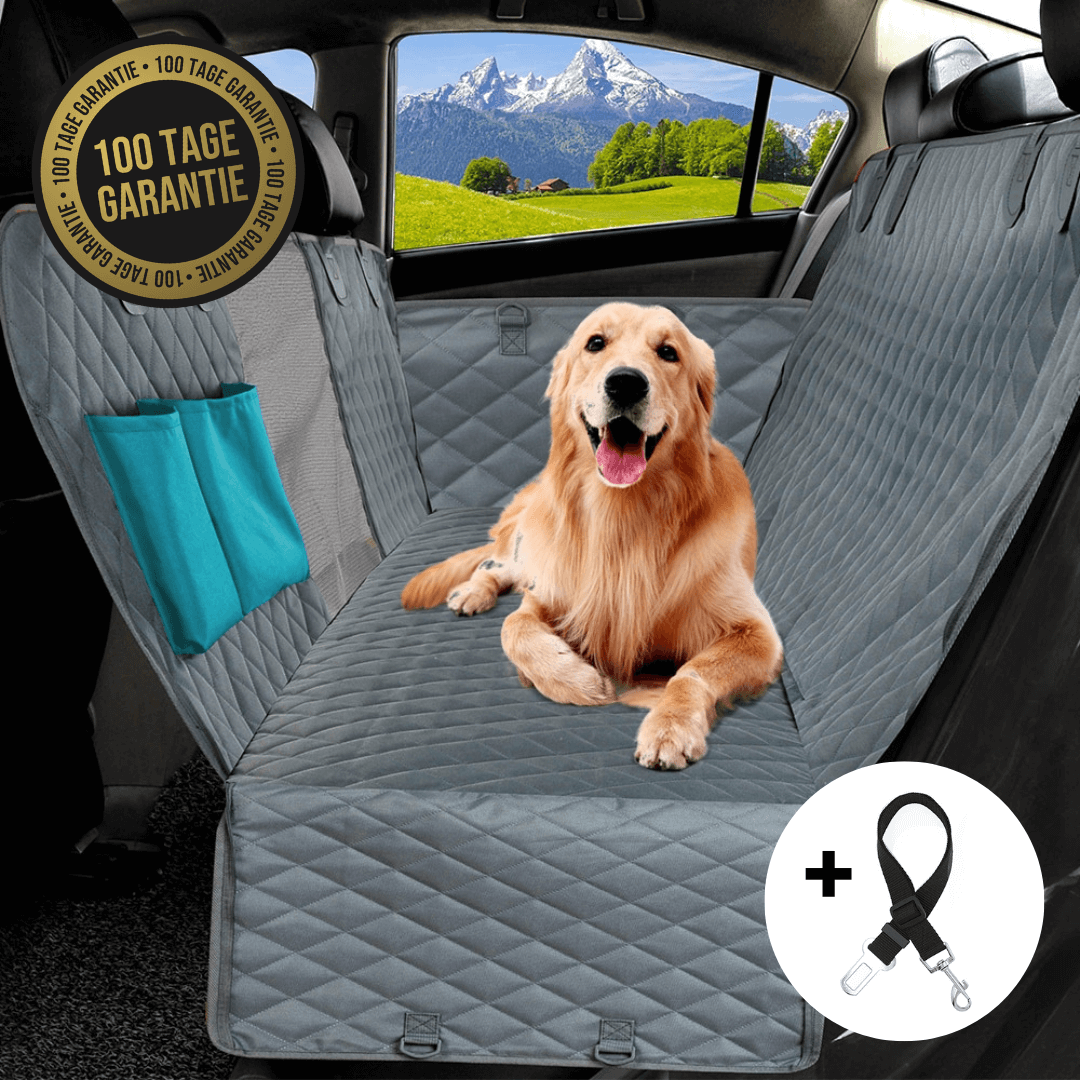 Pravas Trip - Geniale Autositz-Abdeckung für sichere Reisen mit Hausti